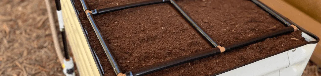 Stagger Planting - Harvest & Grow More – Garden In Minutes®