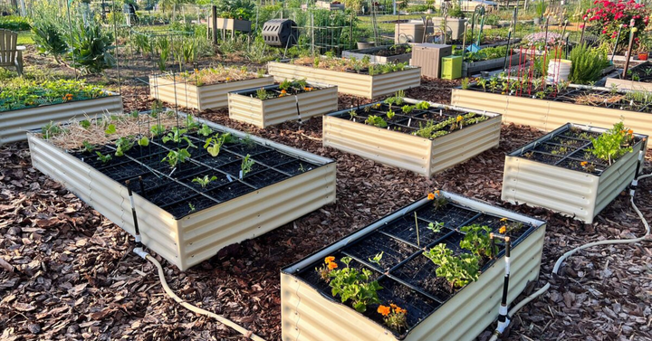 Grow a Salad Garden - Guide + Salad Garden Layout – Garden In Minutes®