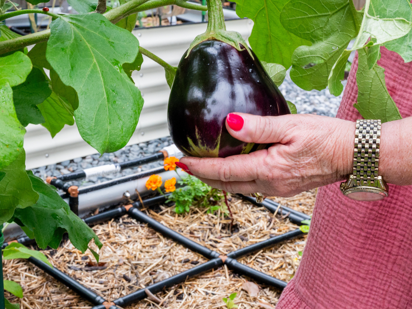 3x3 Garden Grid™ Watering System | Garden In Minutes®
