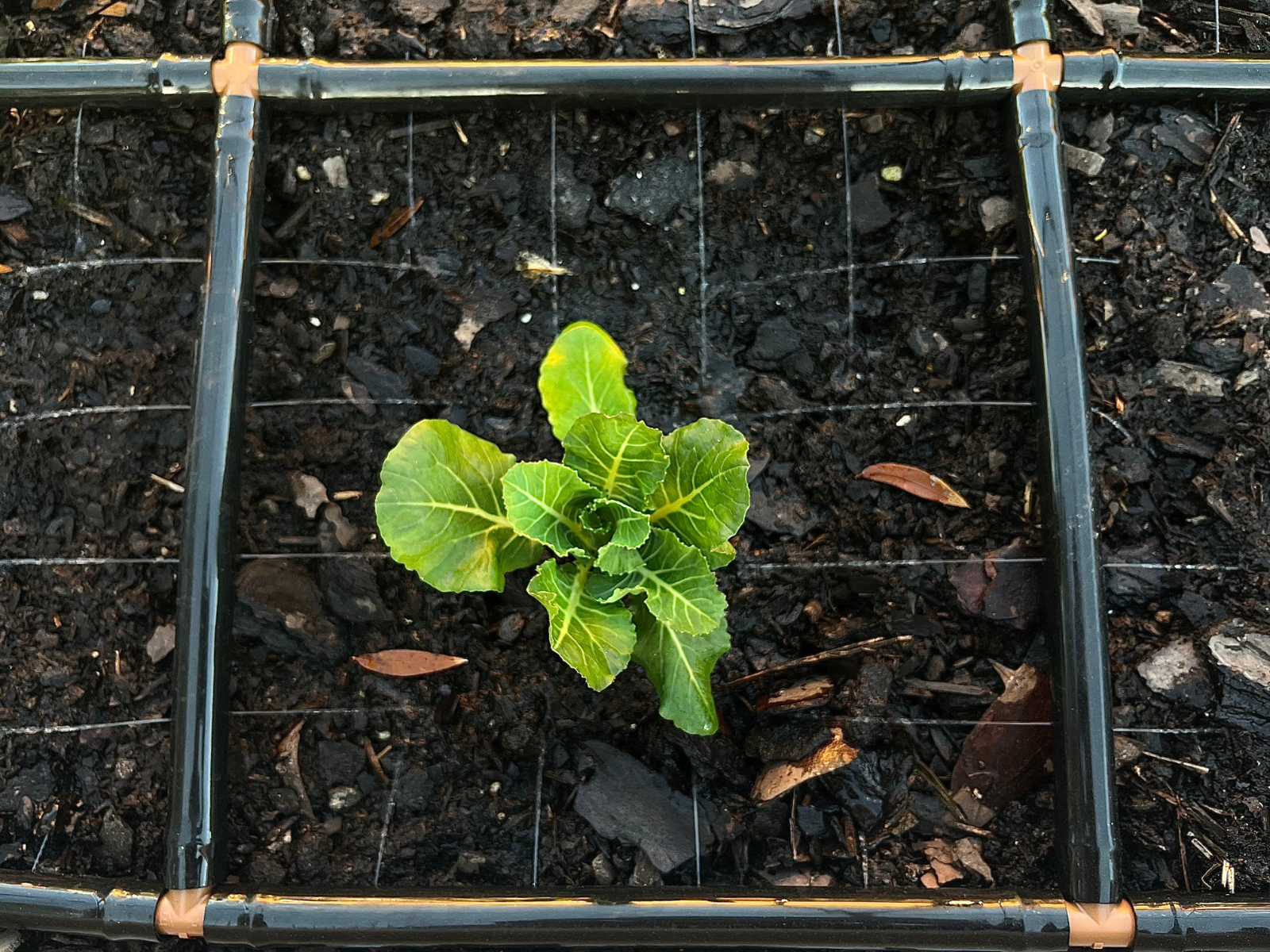 3x3 Garden Grid™ Watering System | Garden In Minutes®