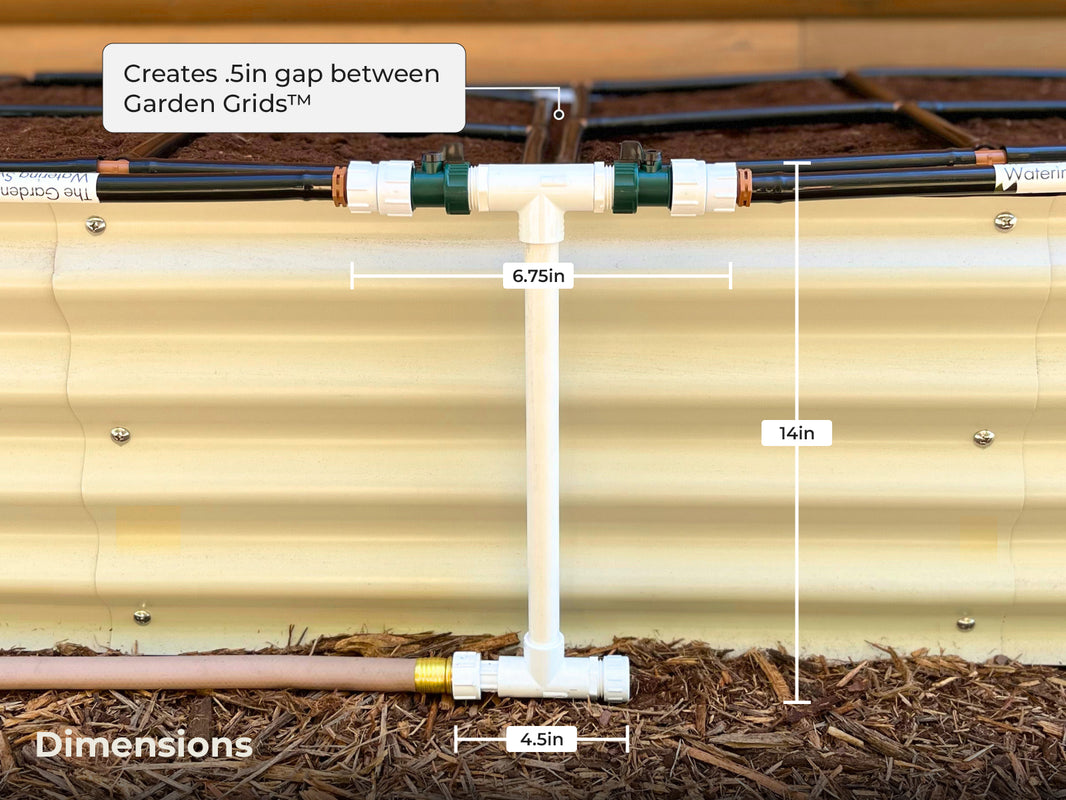 Grow a Salad Garden - Guide + Salad Garden Layout – Garden In Minutes®