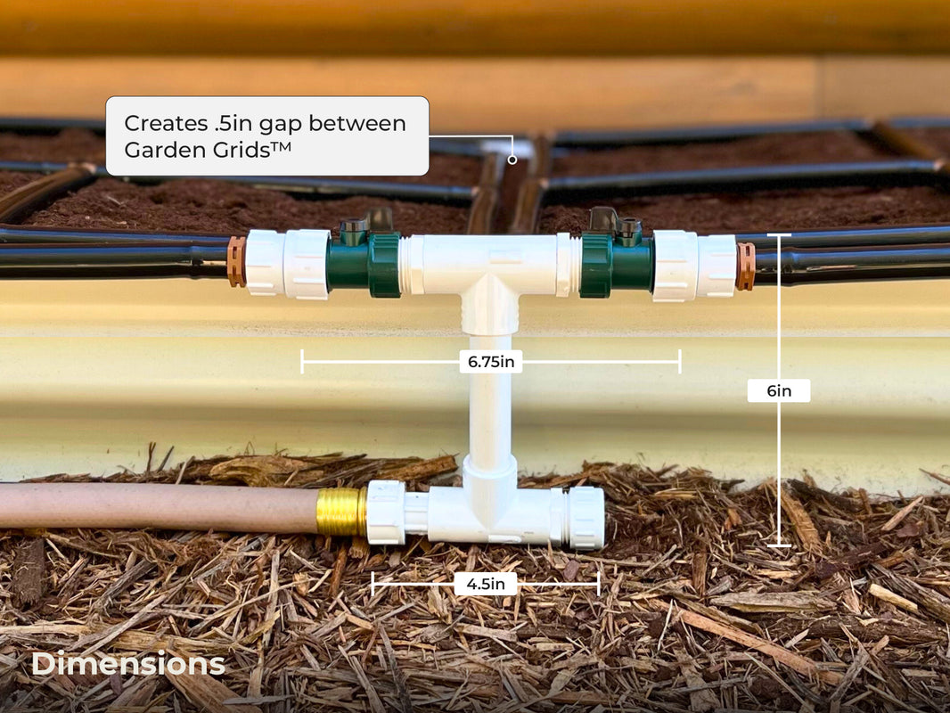 Grow a Salad Garden - Guide + Salad Garden Layout – Garden In Minutes®