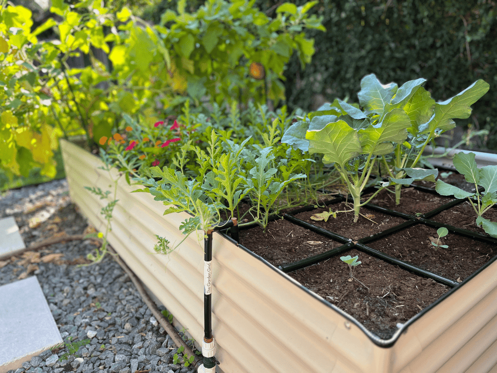 4x8 Garden Grid™ Watering System – Garden In Minutes®