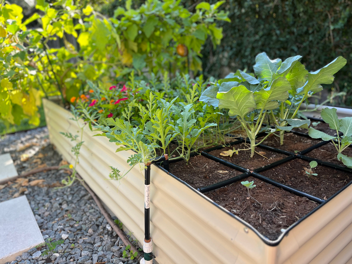 2x10 Garden Grid™ Watering System | Garden In Minutes®